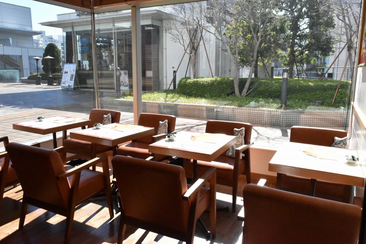 ”ペロリ顔ネコ”がキュート過ぎ♡「キャッツ ナップタイム アフタヌーンティーセット」で至福のひととき（写真 21/38） - mimot.(ミモット)