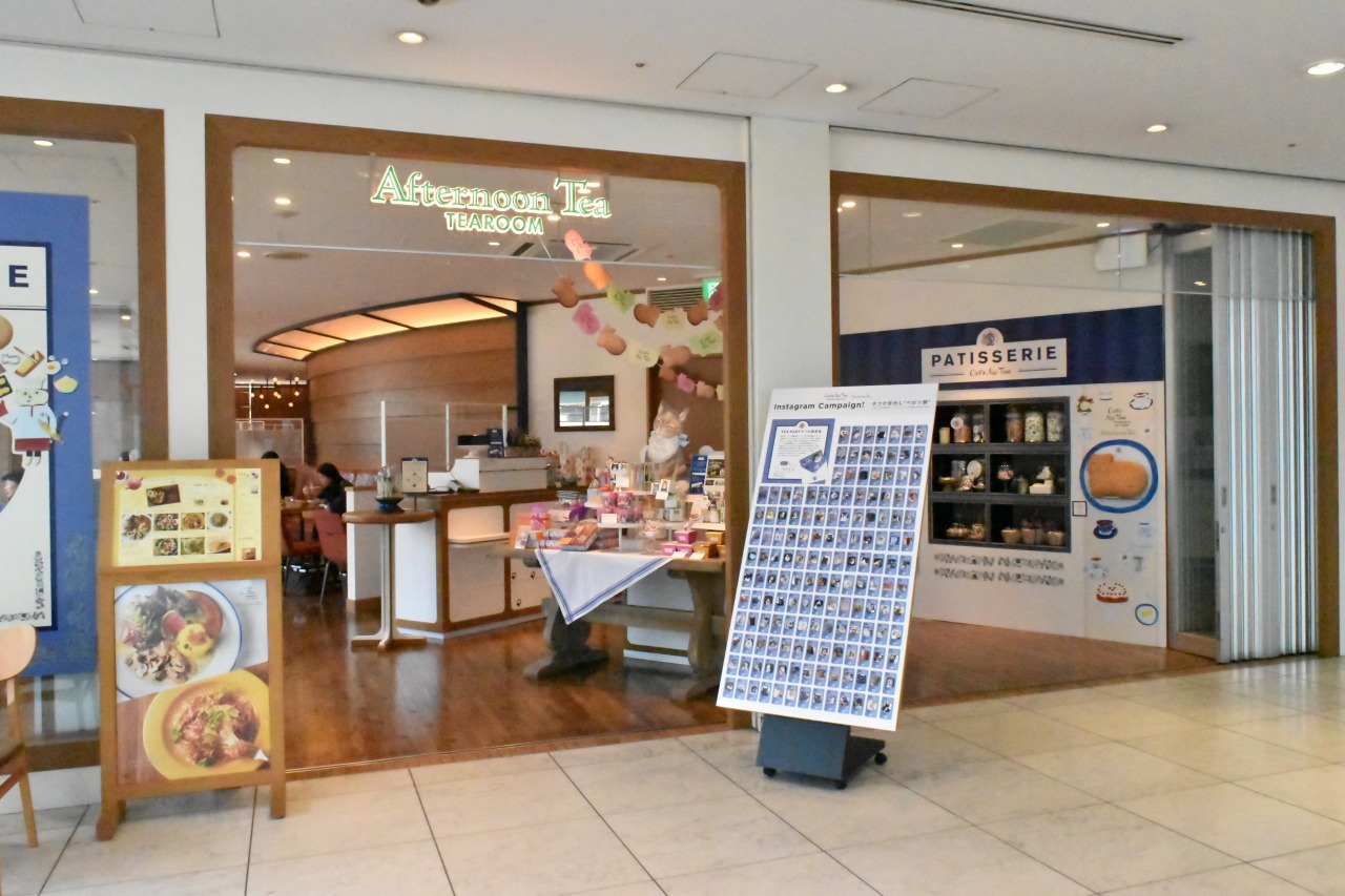 ”ペロリ顔ネコ”がキュート過ぎ♡「キャッツ ナップタイム アフタヌーンティーセット」で至福のひととき（写真 1/38） - mimot.(ミモット)