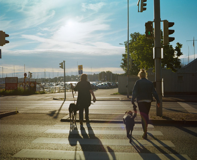 みずみずしく、切ない。ガールズフォトグラファー・イチさんの写真に惚れる!（写真 15/20） - mimot.(ミモット)