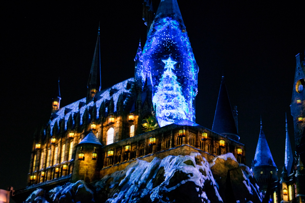 【USJ】ハリー・ポッターの“冬の魔法”に包まれる! 「ホグワーツ・マジカル・ナイト」レポ【写真満載】（写真 18/37） - mimot.(ミモット)